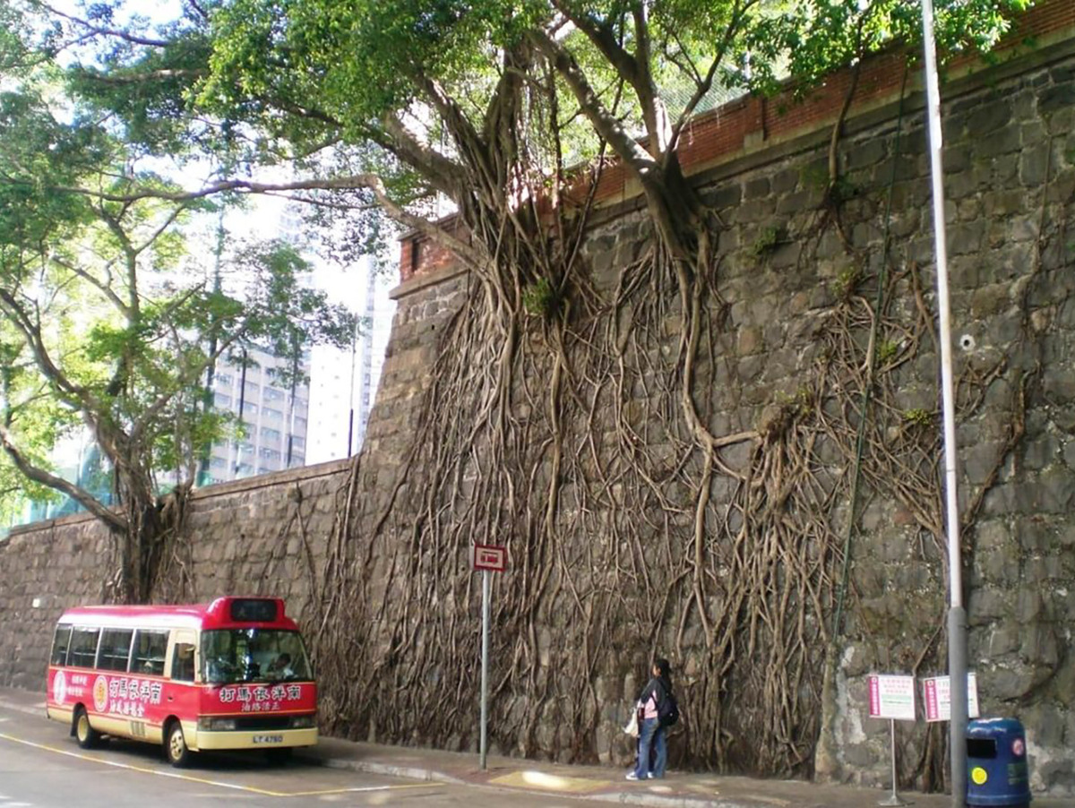 Explore the Vibrant Neighborhoods of Hong Kong SAR | Hood-Hopping Adventure